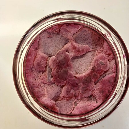 SOLU / Bioart Society | SOLU Dialogues: You contain more-than-culture